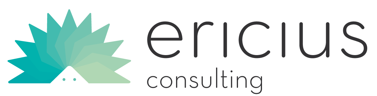 Ericius Consulting – Consultoría en Management y Procesos internos