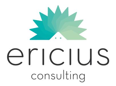 Ericius Consulting – Consultoría en Management y Procesos internos